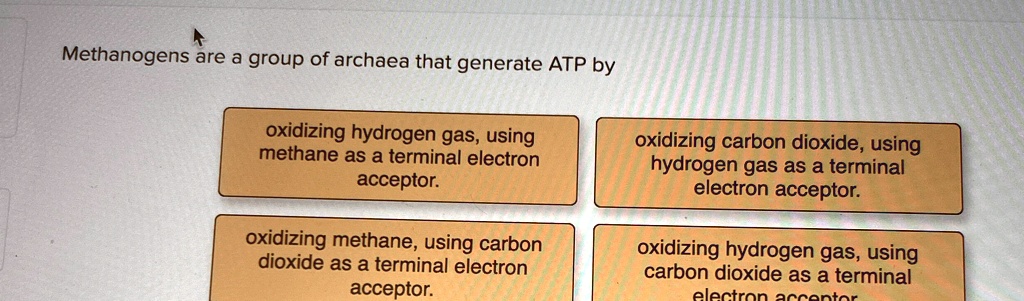 methanogens are a group of archaea that generate atp by oxidizing ...
