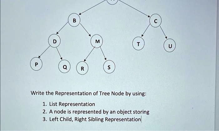 Solved Write The Representation Of Tree Node By Using List Representation A Node Is 0804