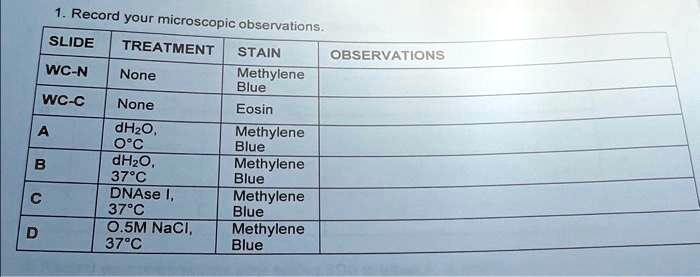 SOLVED: Texts: 1. Record your microscopic observations: SLIDE TREATMENT ...