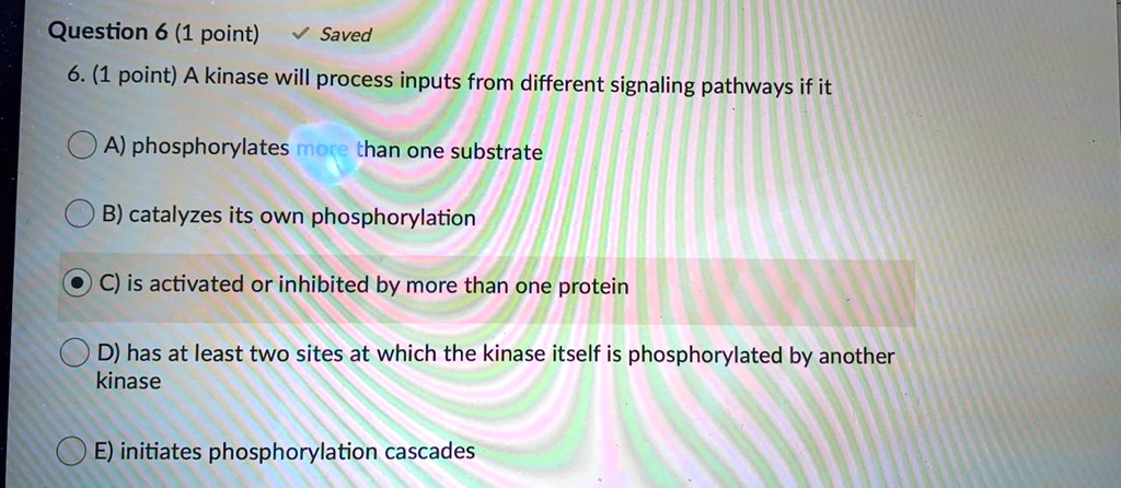 SOLVED:Question 6 (1 point) Saved 6. (1 point) A kinase will process inputs from different ...