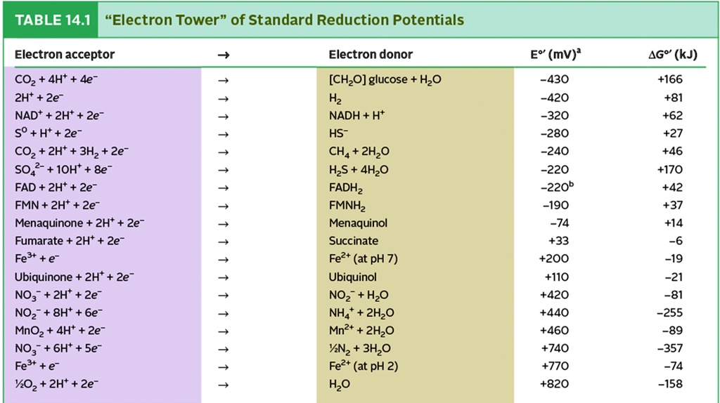 SOLVED: Calculate the amount of energy a cell could get from ...