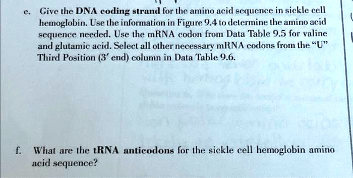 SOLVED: Give the DNA coding strand for the amino acid sequence in ...