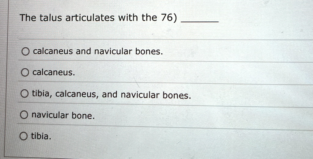 The talus articulates with the 76) calcaneus and navicular bones ...
