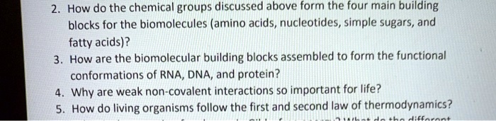 SOLVED: How do the chemical groups discussed above form the four main ...