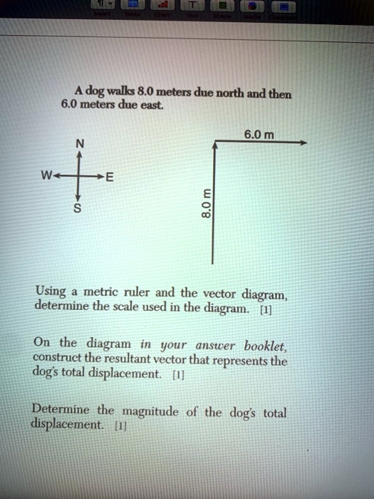 SOLVED: dog = walks 8.0 meters due north and then 6.0 meters due east 6.0m Using metric ruler ...