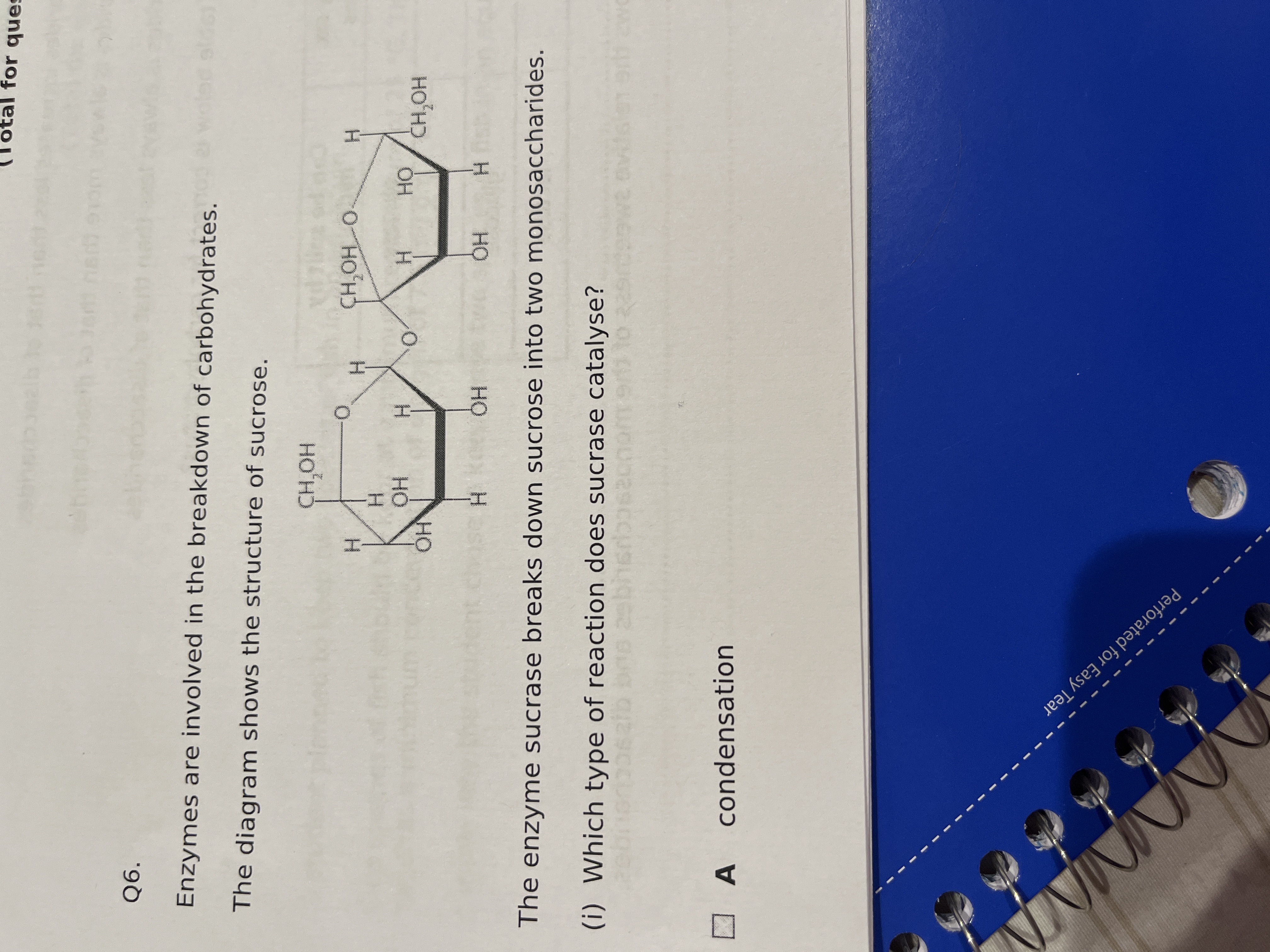 SOLVED: Q6. Enzymes are involved in the breakdown of carbohydrates. The ...