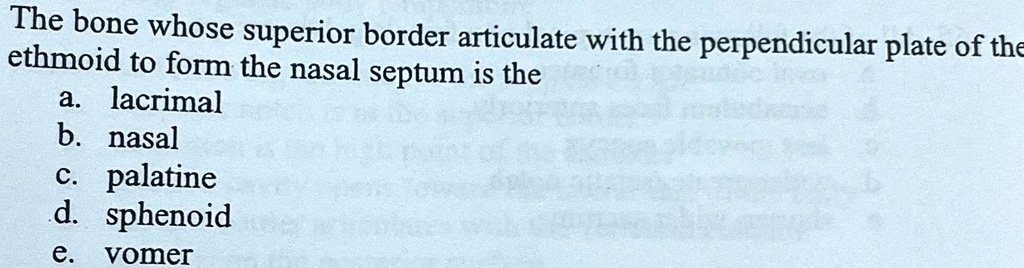 The bone whose superior border articulate with the...