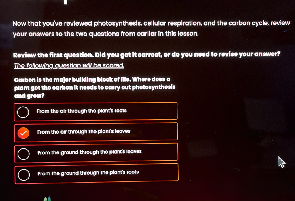 Now that you've reviewed photosynthesis, cellular respiration, and the ...