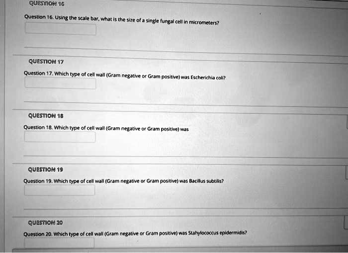 SOLVED: microbiology lab QUEST1ON16 Question 16.Using the scale bar ...