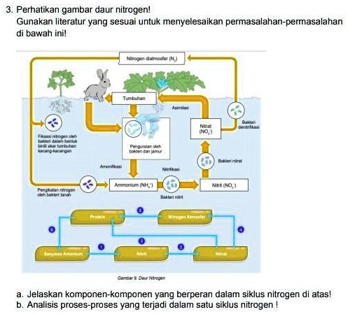 SOLVED: A. jelaskan komponen komponen yang berperan dalam siklus ...