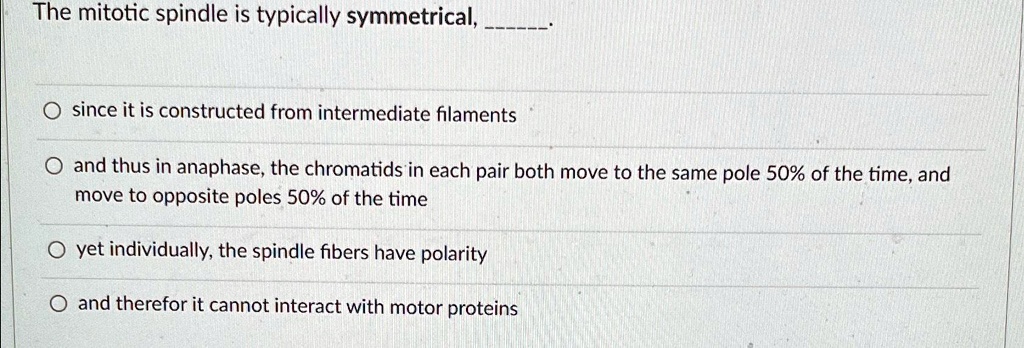 SOLVED: The mitotic spindle is typically symmetrical, since it is ...