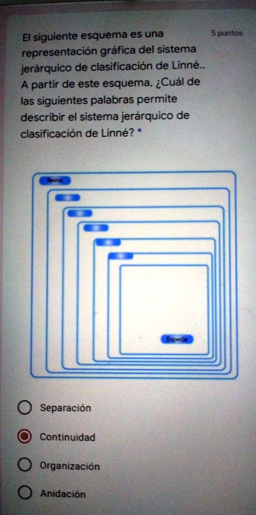 SOLVED: ayudaaaáaaaaaaaaaaaaa El siguiente esquema es una 5 puntos ... SOLVED: ayudaaaáaaaaaaaaaaaaa El siguiente esquema es una 5 puntos ...