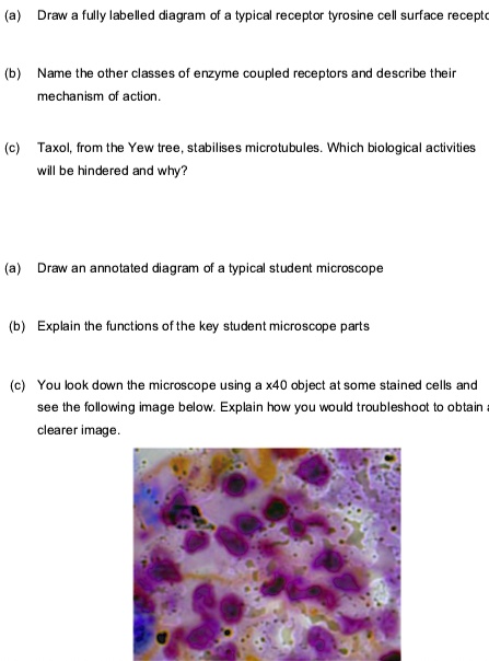 SOLVED: Draw a fully labelled diagram of a typical receptor cell ...