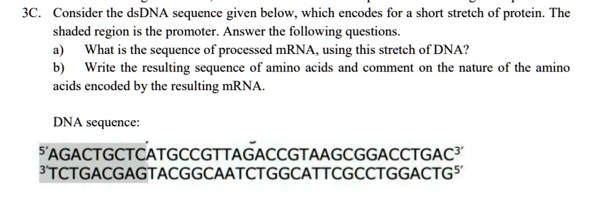 3C. Consider the dsDNA sequence given below, which encodes for a short ...
