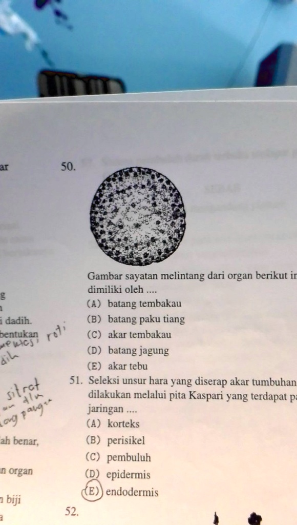 SOLVED: gambar sayatan melintang dari organ berikut ini dimiliki oleh ...
