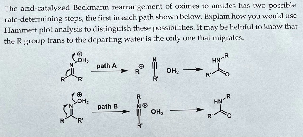 SOLVED: The acid-catalyzed Beckmann rearrangement of oximes to amides ...