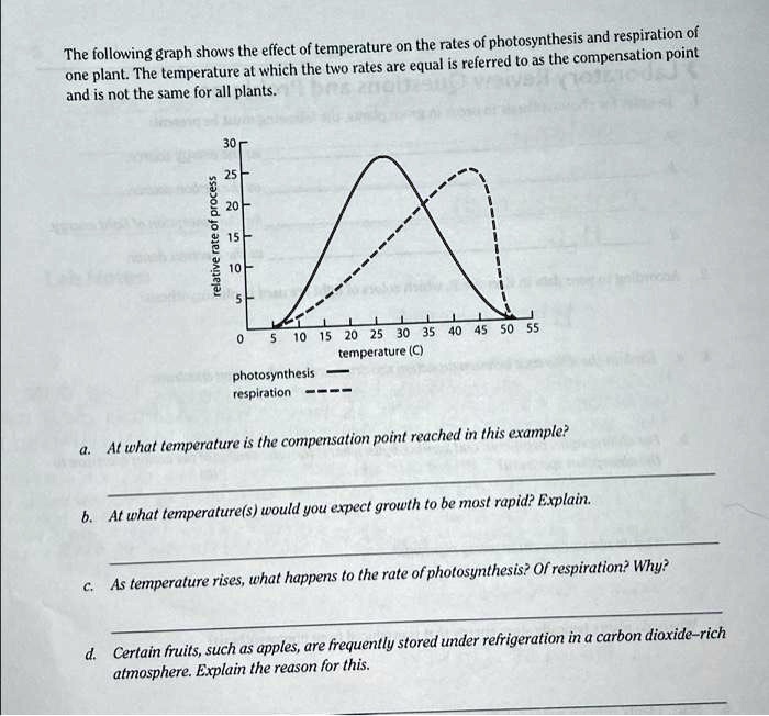 The following graph shows the effect of temperature on the rates of ...