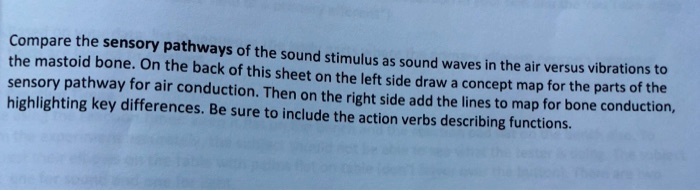SOLVED: Compare the sensory pathways of the the mastoid bone: On the ...