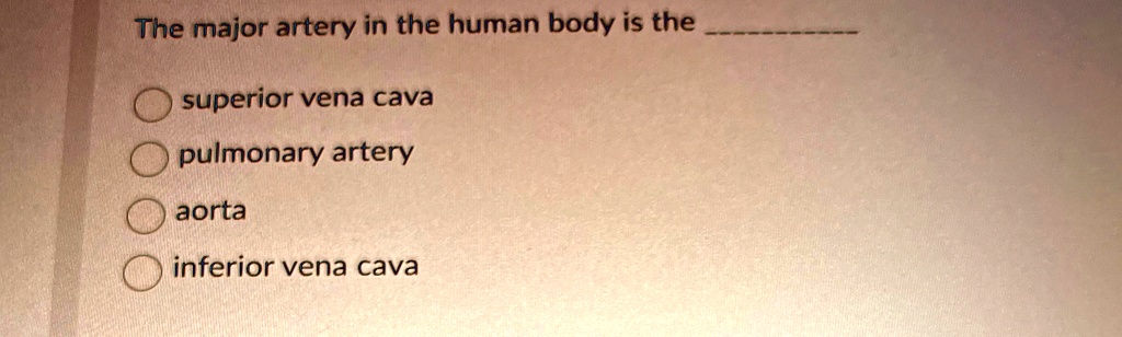 The major artery in the human body is the superior vena cava pulmonary artery aorta inferior ...