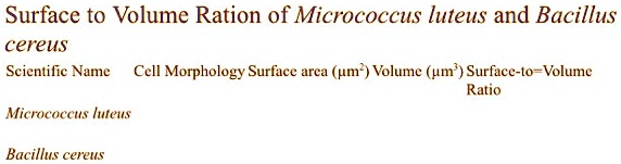 SOLVED: Surface to Volume Ratio of Micrococcus luteus and Bacillus ...