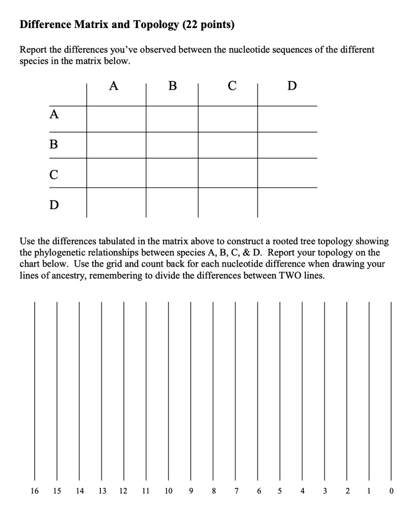 SOLVED: Difference Matrix and Topology (22 points) Report the ...