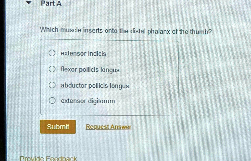 SOLVED: Which muscle inserts onto the distal phalanx of the thumb ...