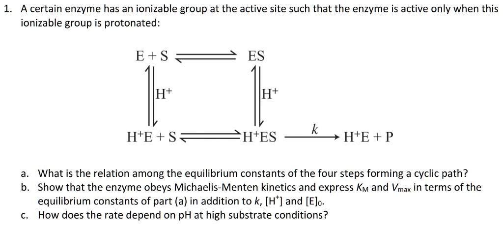 SOLVED: A certain enzyme has an ionizable group at the active site such ...