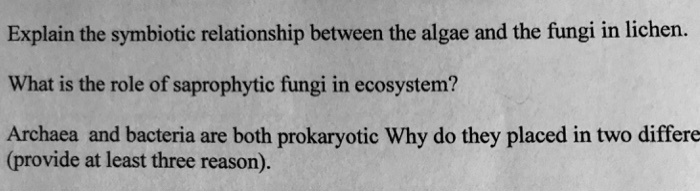 Explain the symbiotic relationship between the algae and the fungi in ...