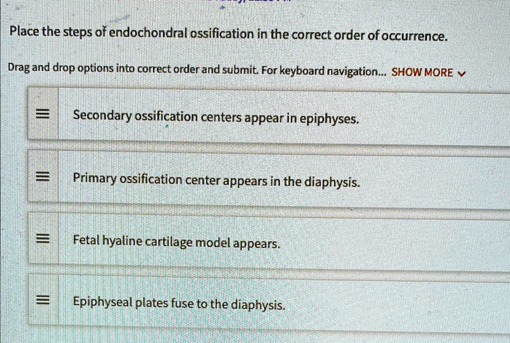 SOLVED: Place the steps of endochondral ossification in the correct ...