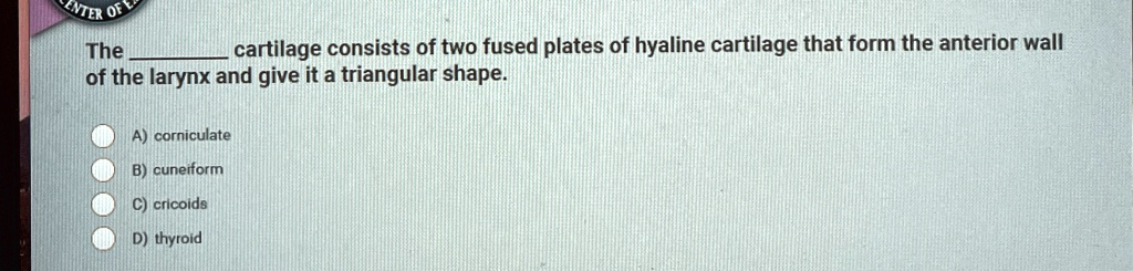 the cartilage consists of two fused plates of hyaline cartilage that ...