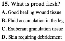SOLVED: 15. What is proud flesh? A. Good healing wound tissue B. Fluid ...