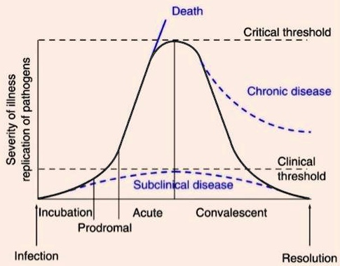 SOLVED: Explain the following graph: Death Critical threshold Chronic ...