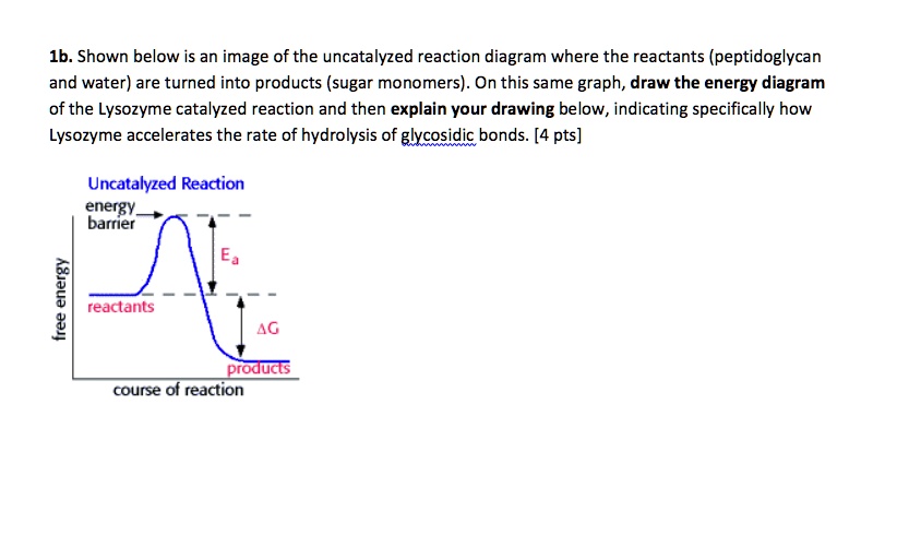 SOLVED: Shown below is an image of the uncatalyzed reaction diagram ...