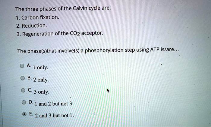 SOLVED: The three phases of the Calvin cycle are: 1, Carbon fixation 2 ...