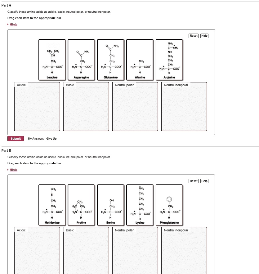 SOLVED: Part A: Classify these amino acids as acidic, basic, neutral polar, or neutral nonpolar ...