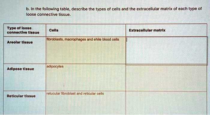 SOLVED: b. In the following table, describe the types of cells and the ... SOLVED: b. In the following table, describe the types of cells and the ...