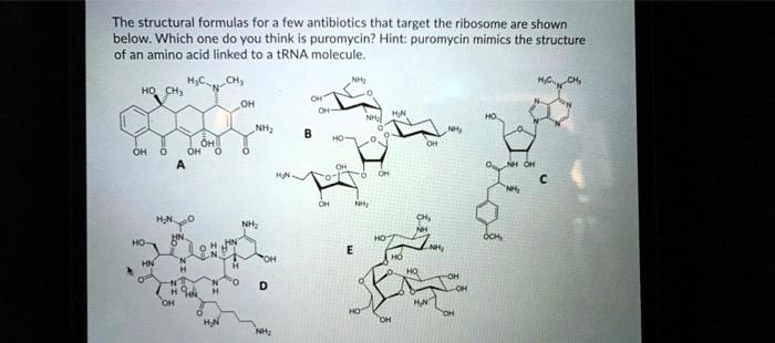 The structural formulas for a few antibiotics that target the ribosome ...