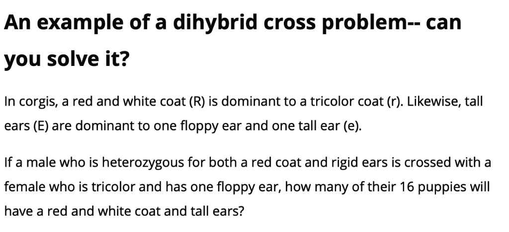 SOLVED: An example of a dihybrid cross problem- can you solve it? In ...