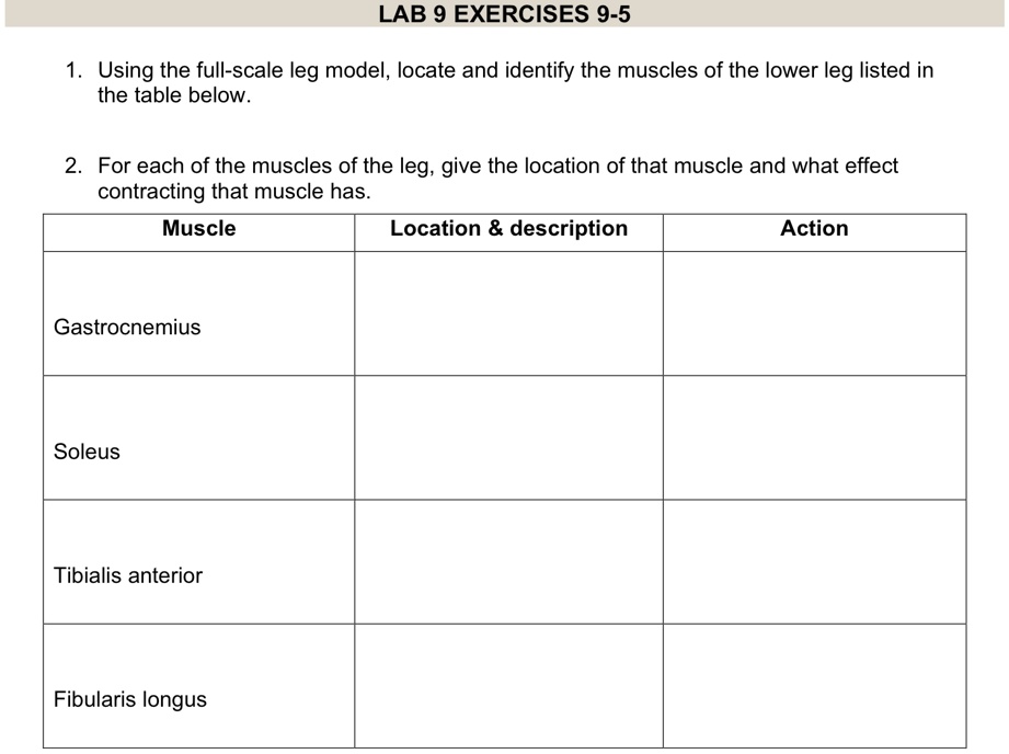 lab 9 exercises 9 5 1 using the full scale leg model locate and ...