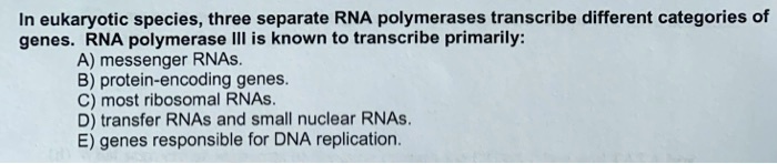 SOLVED: In eukaryotic species three separate RNA polymerases transcribe ...