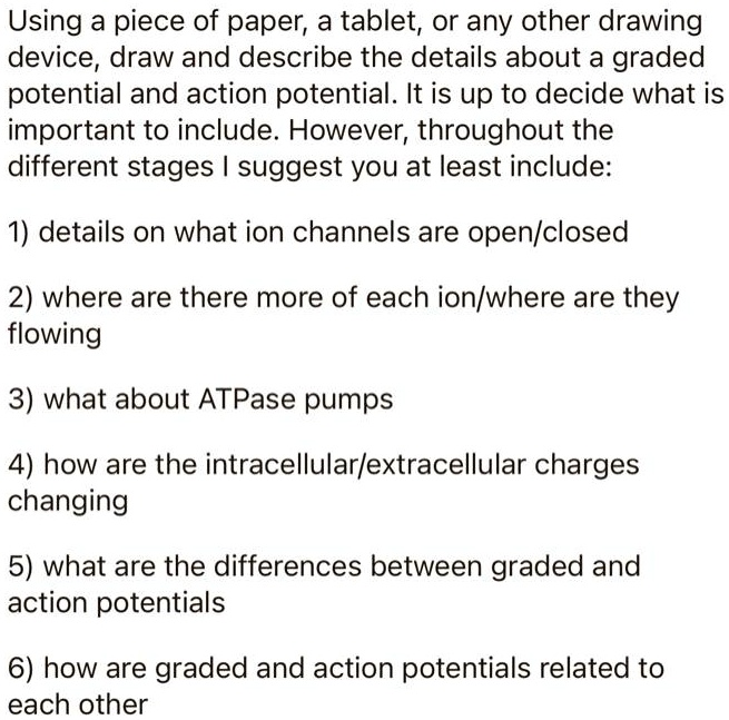 using a piece of paper a tablet or any other drawing device draw and ...