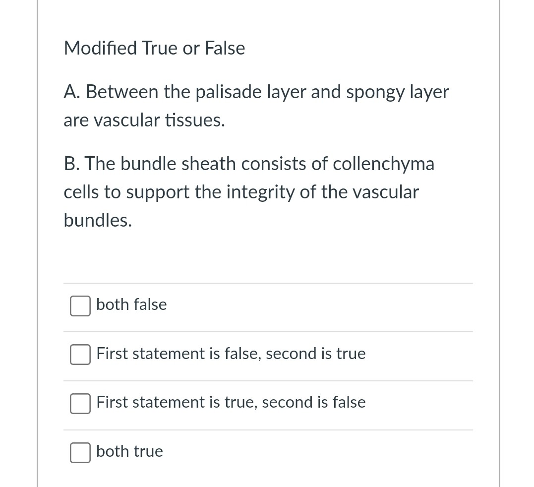 Modified True or False A. Between the palisade layer and spongy layer ...