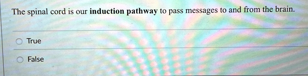 The spinal cord is our induction pathway to pass messages to and from ...