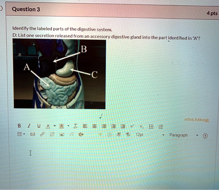 question 3 4 pts identify the labeled parts of the digestive system d list one secretion ...