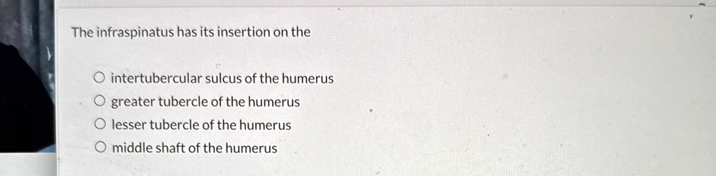 The infraspinatus has its insertion on the intertubercular sulcus of ...