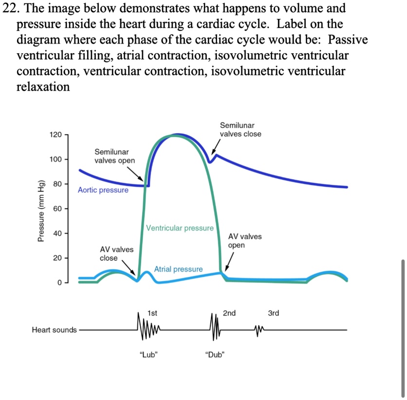 22. The image below demonstrates what happens to volume and pressure ...