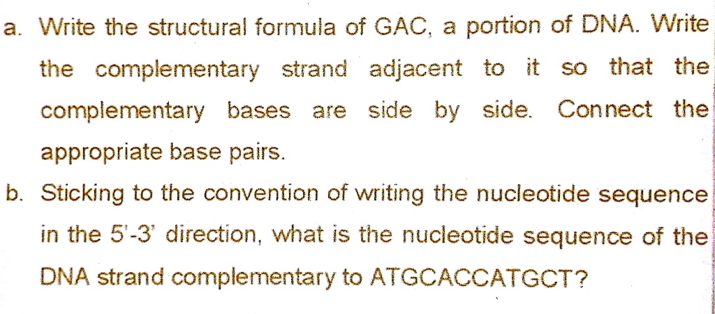 a. Write the structural formula of GAC, a portion of DNA. Write the ...