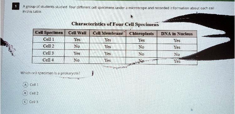 1 A group of students studied four different cell specimens under a ...