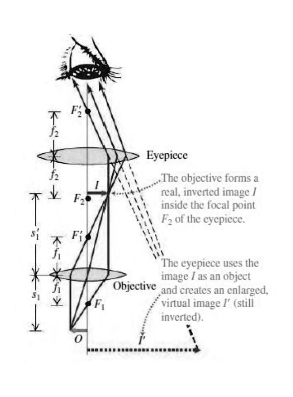 SOLVED: A microscope is shown in the figure. The focal length of the ...