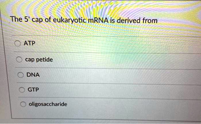 SOLVED:The 5' cap of eukaryotic mRNA is derived from ATP cap petide DNA ...